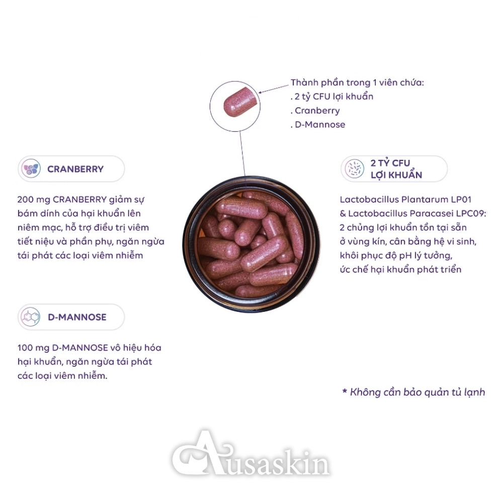 Hộp 60 Viên Men Vi Sinh Lactobact Intima Bổ Sung Lợi Khuẩn Cho Phụ Nữ ...